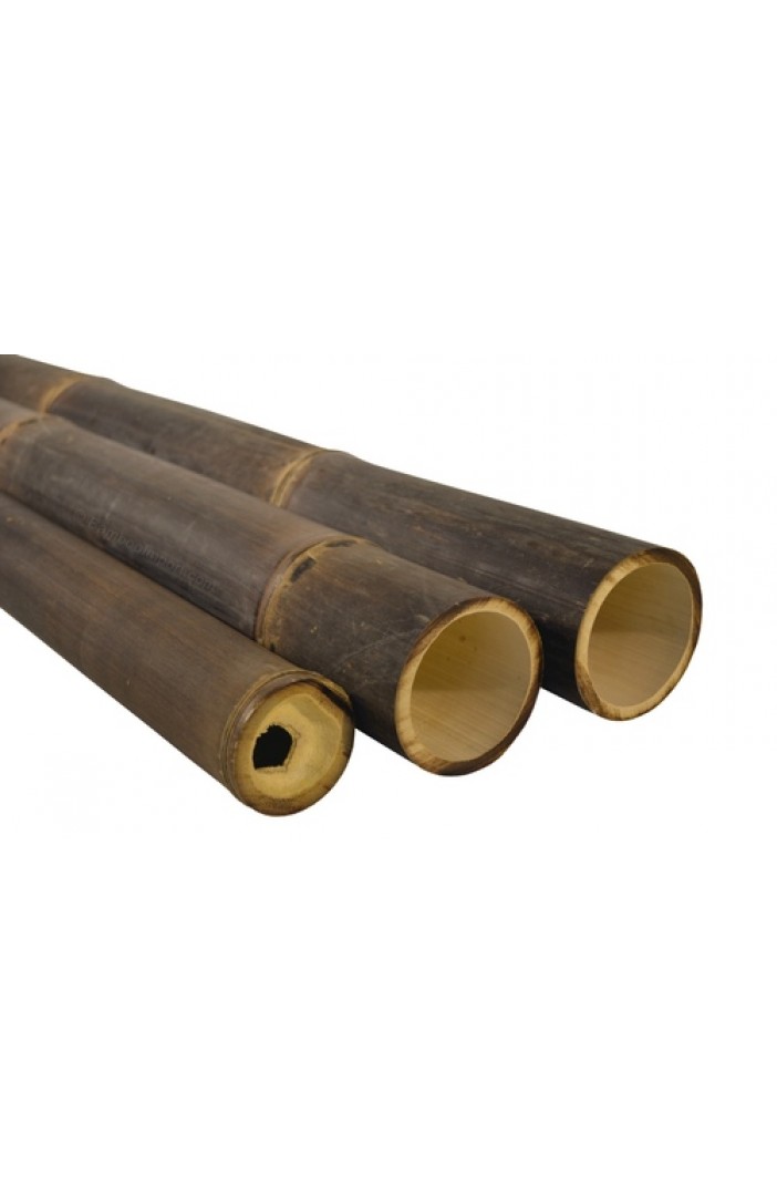 Natural black bamboo pole 60/80mm x 4 mtrs