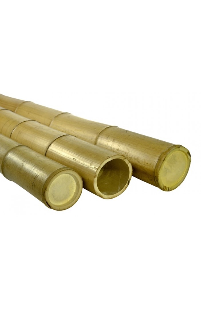 Natural yellow bamboo pole 70/80mm x 4 mtrs